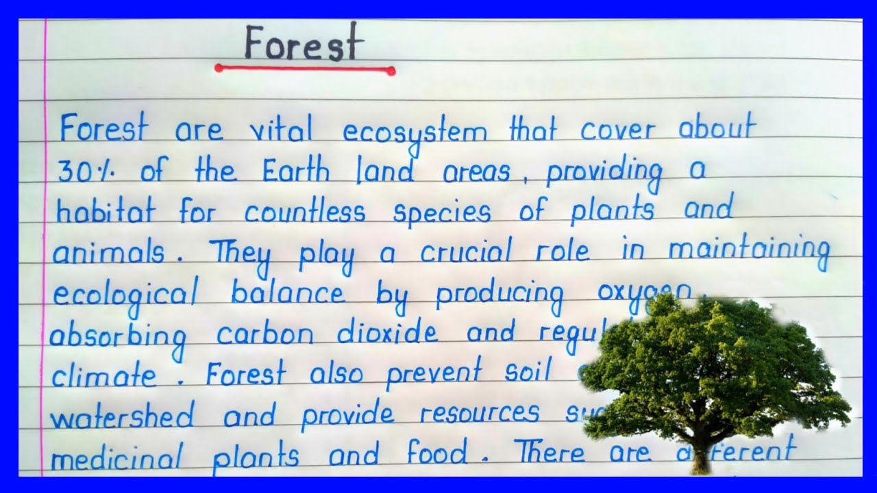 Essay on Forest in English || Forest Essay in English || Importance of ...