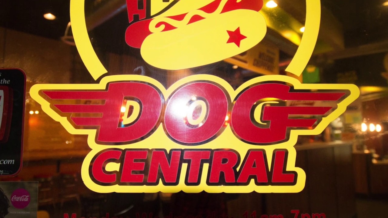 CMU Students Weigh in on 'Dog Central' Craze - YouTube