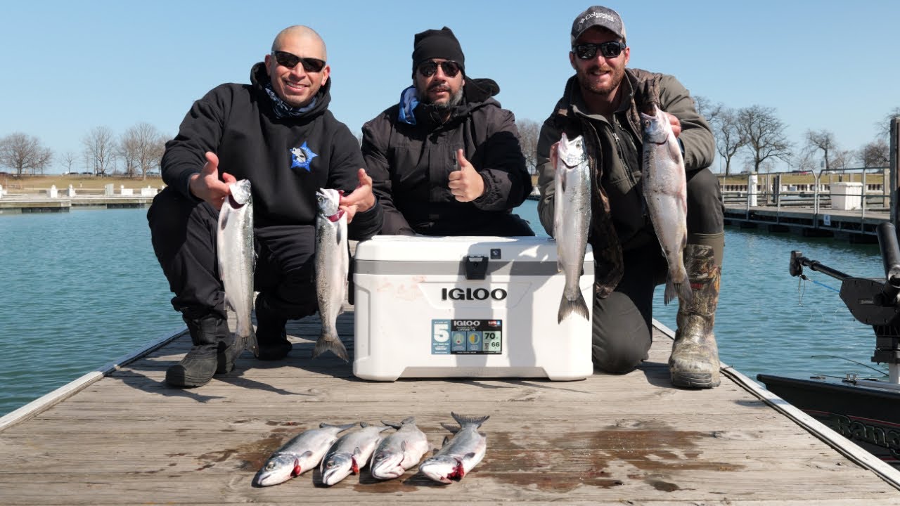 🔴 LIVE - Coho Showing Up Everywhere + Brawl Announcement | Lake ...