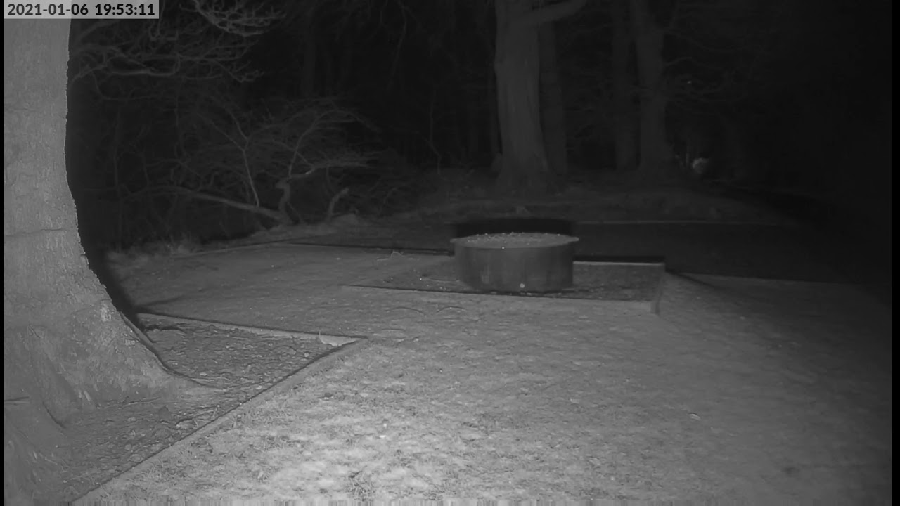 Damn so close - YouTube