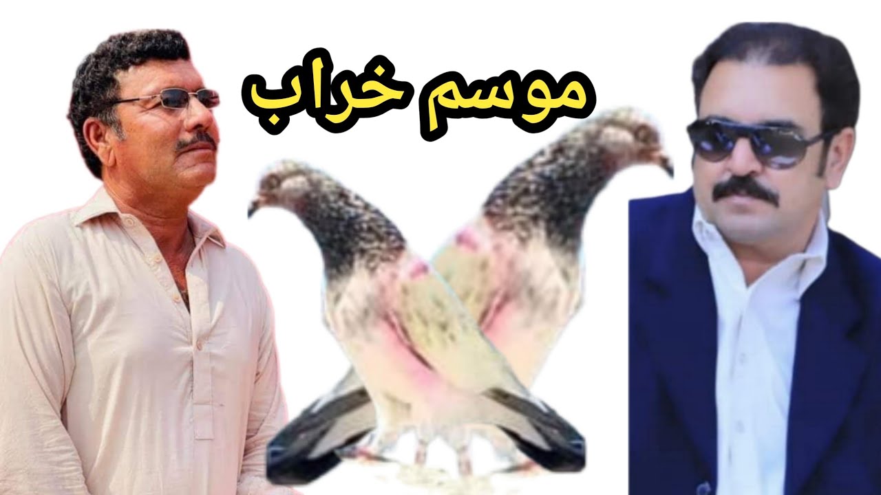 Ustad Akmal khan Piplan ||Ustad Meer Mukhtiar Khan Piplan ||Pigeons ...