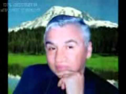 dolya ogru alemi