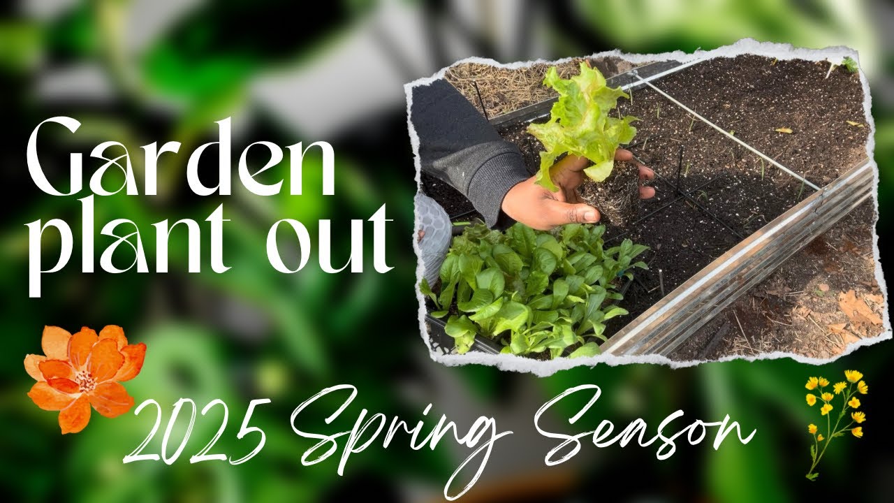 Our first Spring Plant out for 2025 | Let’s Plant & chat | VA Zone 7b ...