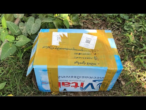 ថ្មីៗ Multiple Colors Galaxy Male And Female | Multi-colored Bettas ...