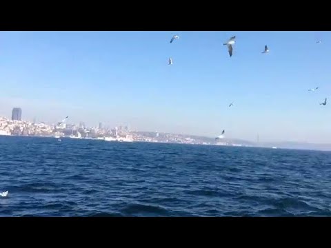 fikret erkaya istanbul şarkıları beyoğlunda gezersin