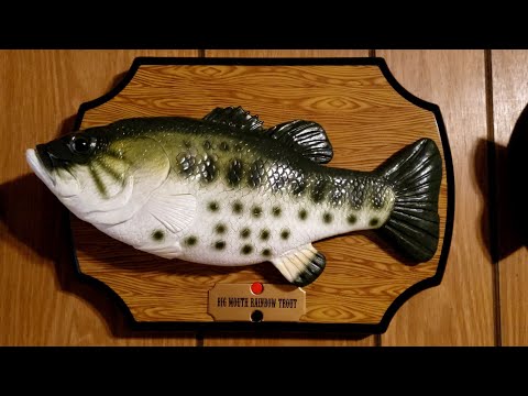 Big Mouth Rainbow Trout singing fish (Elvis Song) - YouTube