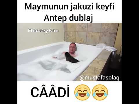 Insanla banyo yapan maymun 😂😂 | Antep Dublaj