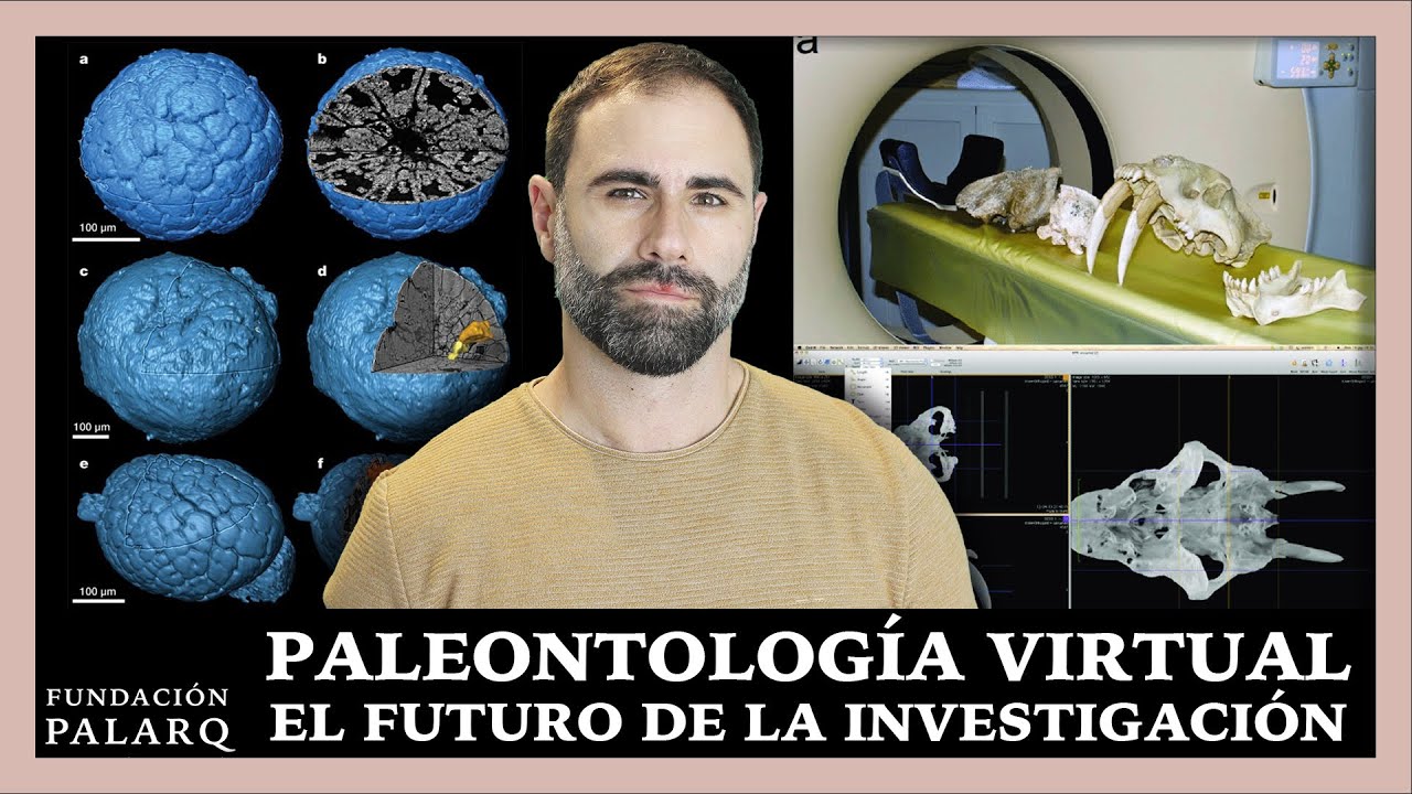La Paleontología Virtual y sus Increíbles Descubrimientos - YouTube