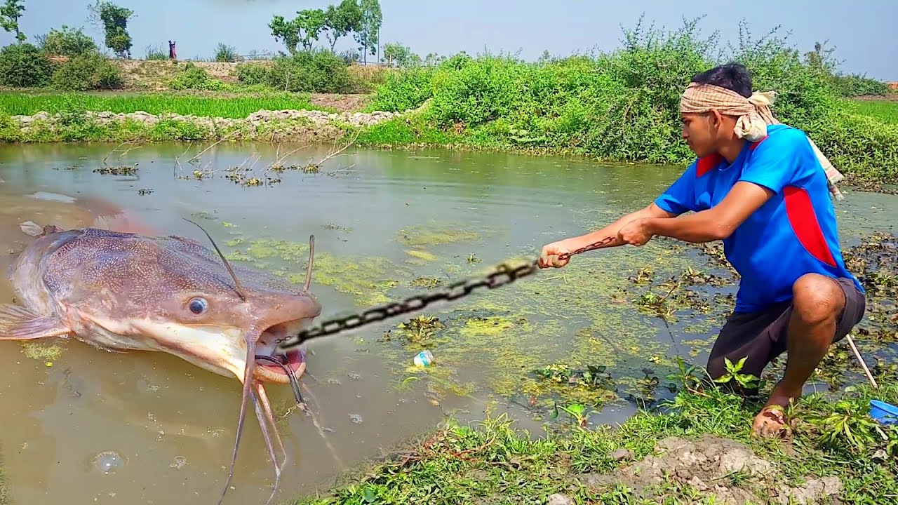 Amazing Fishing Method In River | Underwater Monster Catfish Catching ...