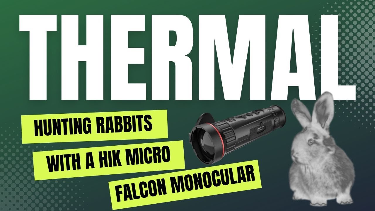 Hunting rabbits with a THERMAL - YouTube