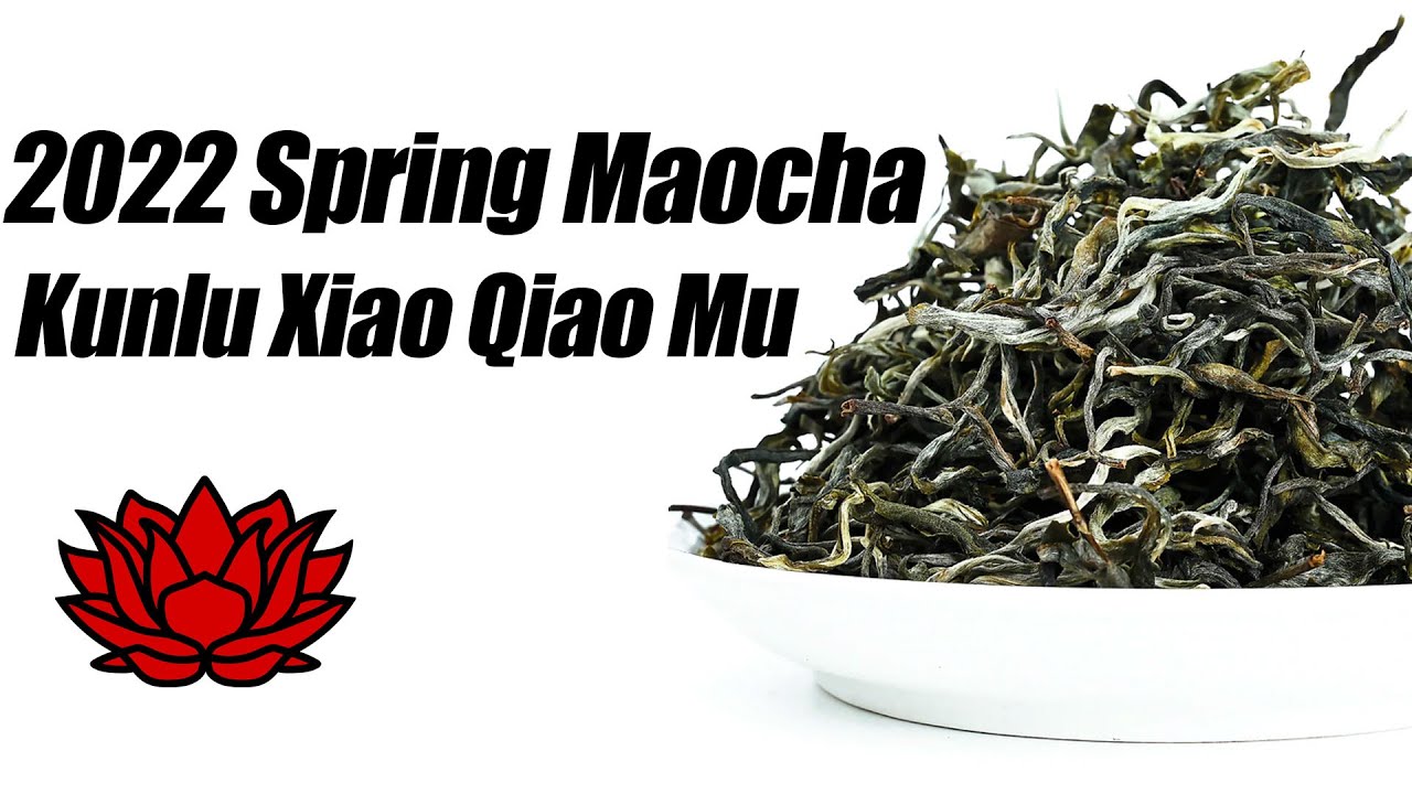 2022 Spring Maocha - Kunlu Xiao Qiao Mu - Live Stream - 05/06/2022 05 ...