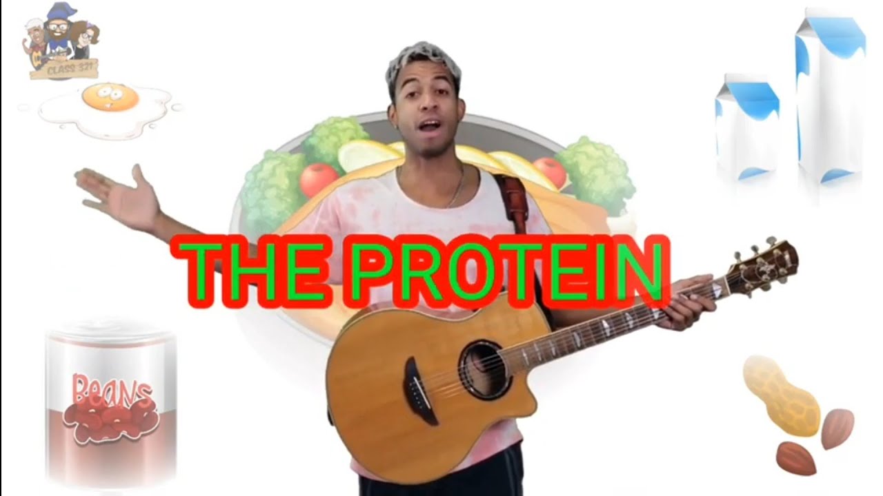 The Protein Song - Nutrition Music for kids - YouTube