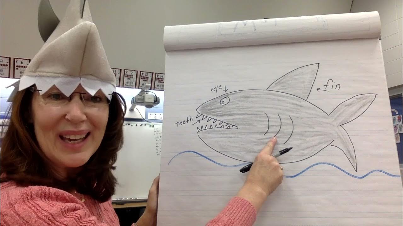 Shark Writing Video - YouTube