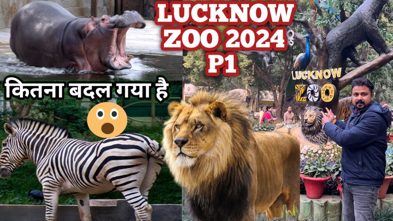 Lucknow Zoo || लखनऊ चिड़ियाँ घर || 2024 में कितना बदल गया ये Zoo 😳 ...