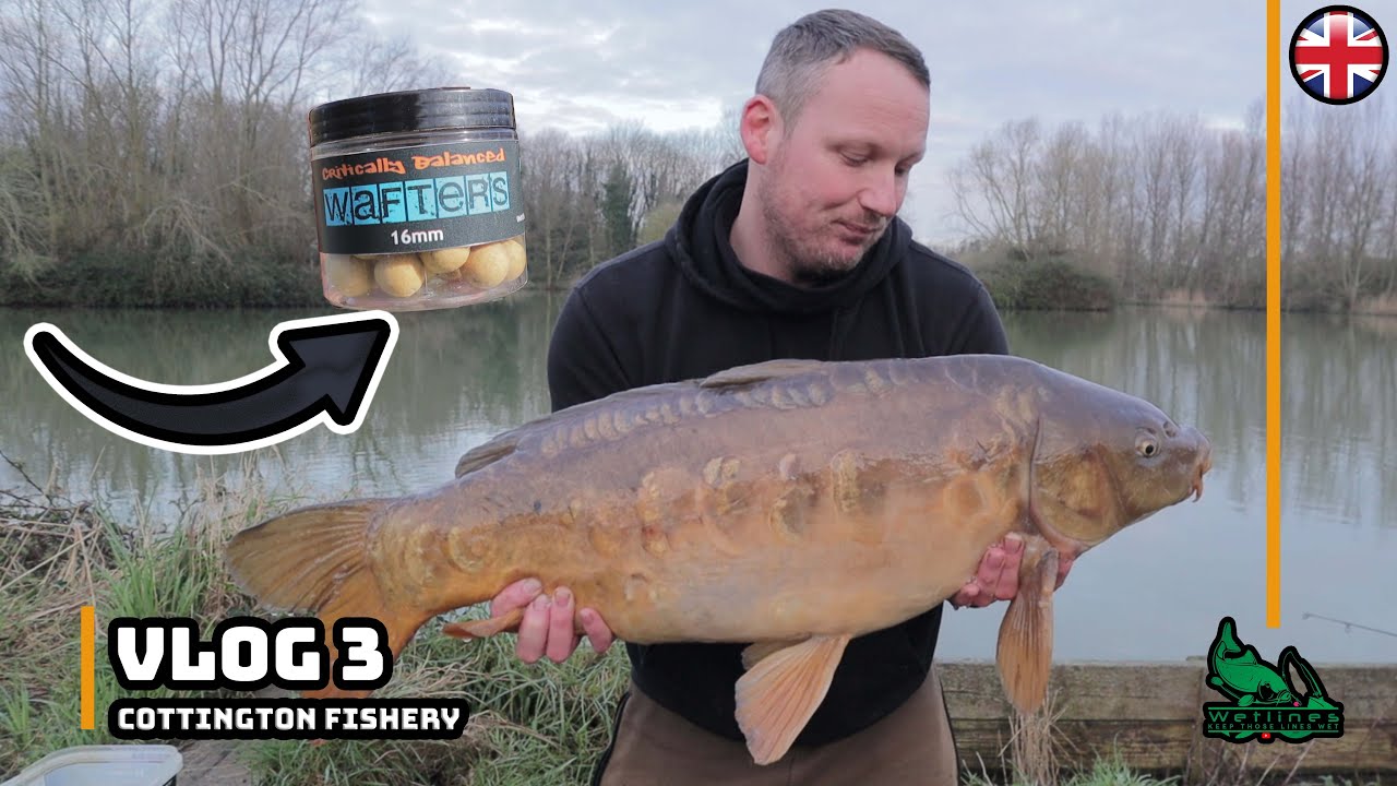 Cottington Lakes | New Pepper | Carp Fishing | Chasing the 40lb Carp ...