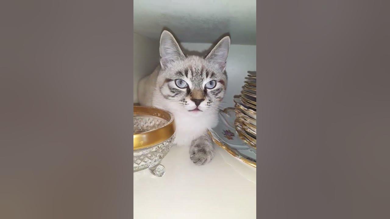 миленький мой 🤗🤗🤗🤗😘😘😘 ️ ️ ️ ️ ️ ️ Youtube
