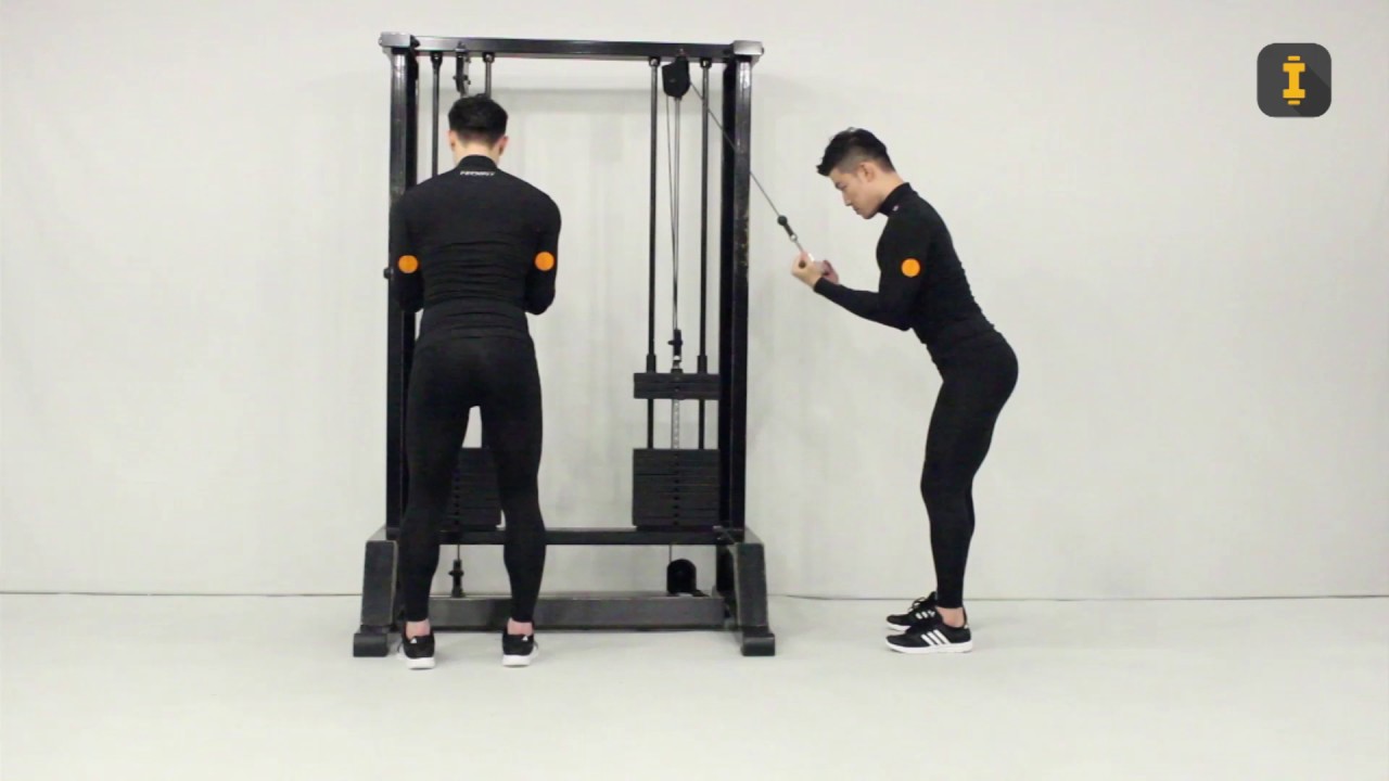 400 리버스 그립 케이블 푸쉬 다운Reverse Grip Cable Push Down - YouTube