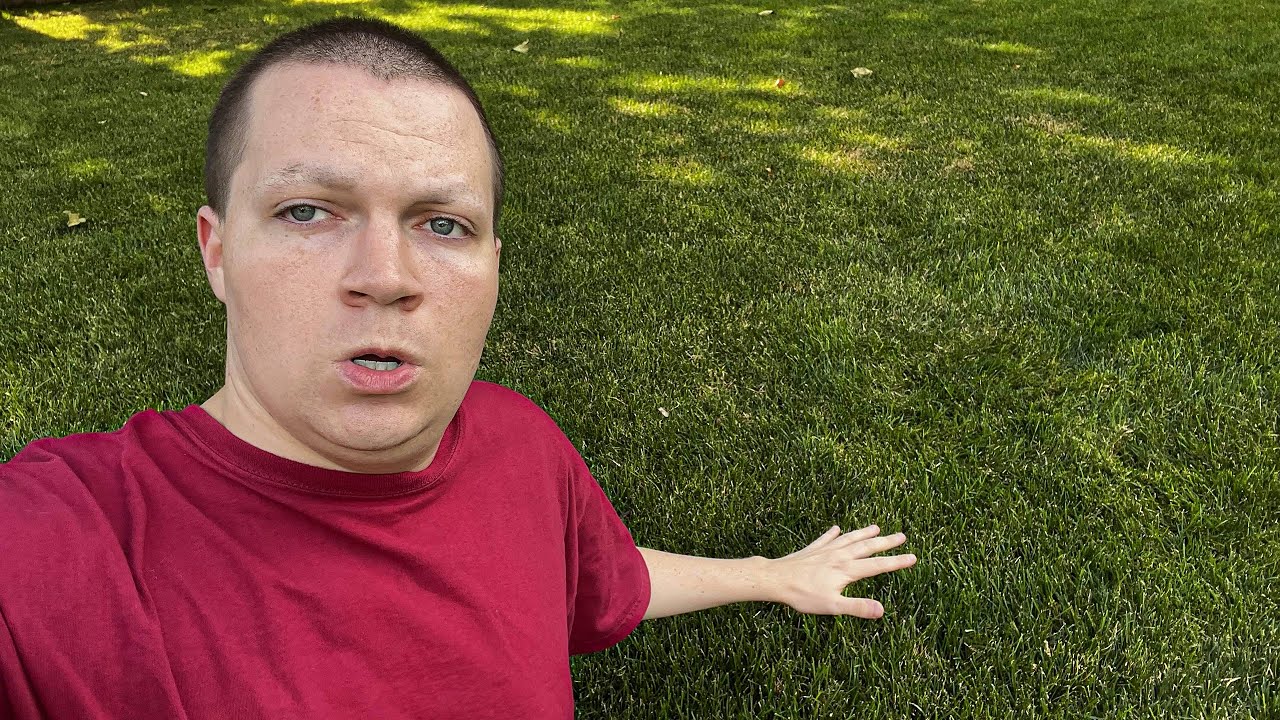 touching grass for the first time - YouTube