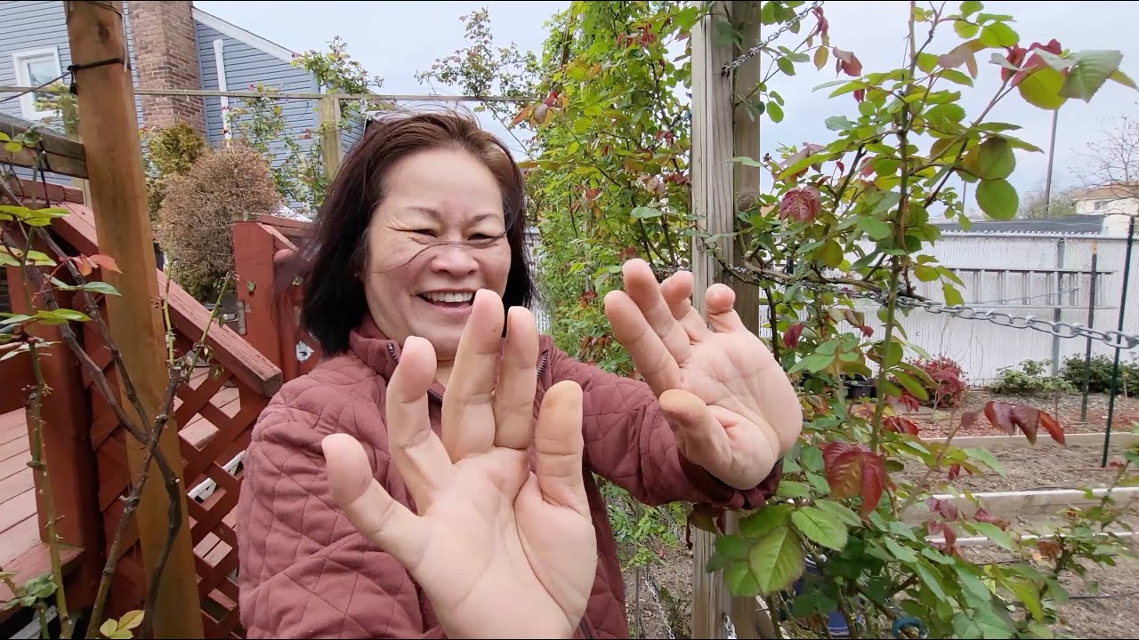 Chilly Still, Insect Control APHIDS Ep2 Day8-14 Apr18-24 2023 - YouTube