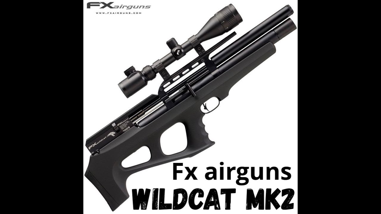 FX Wildcat MK2 22.cal - YouTube