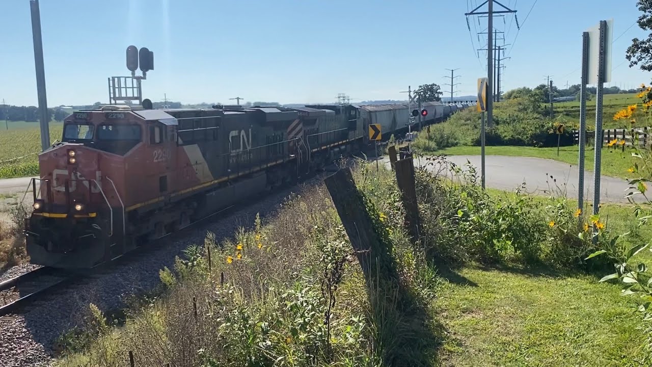 BC Rail unit 4646 makes rare appearance on CN Manifest train in Harlem Township, IL! 9/1/2024 ...