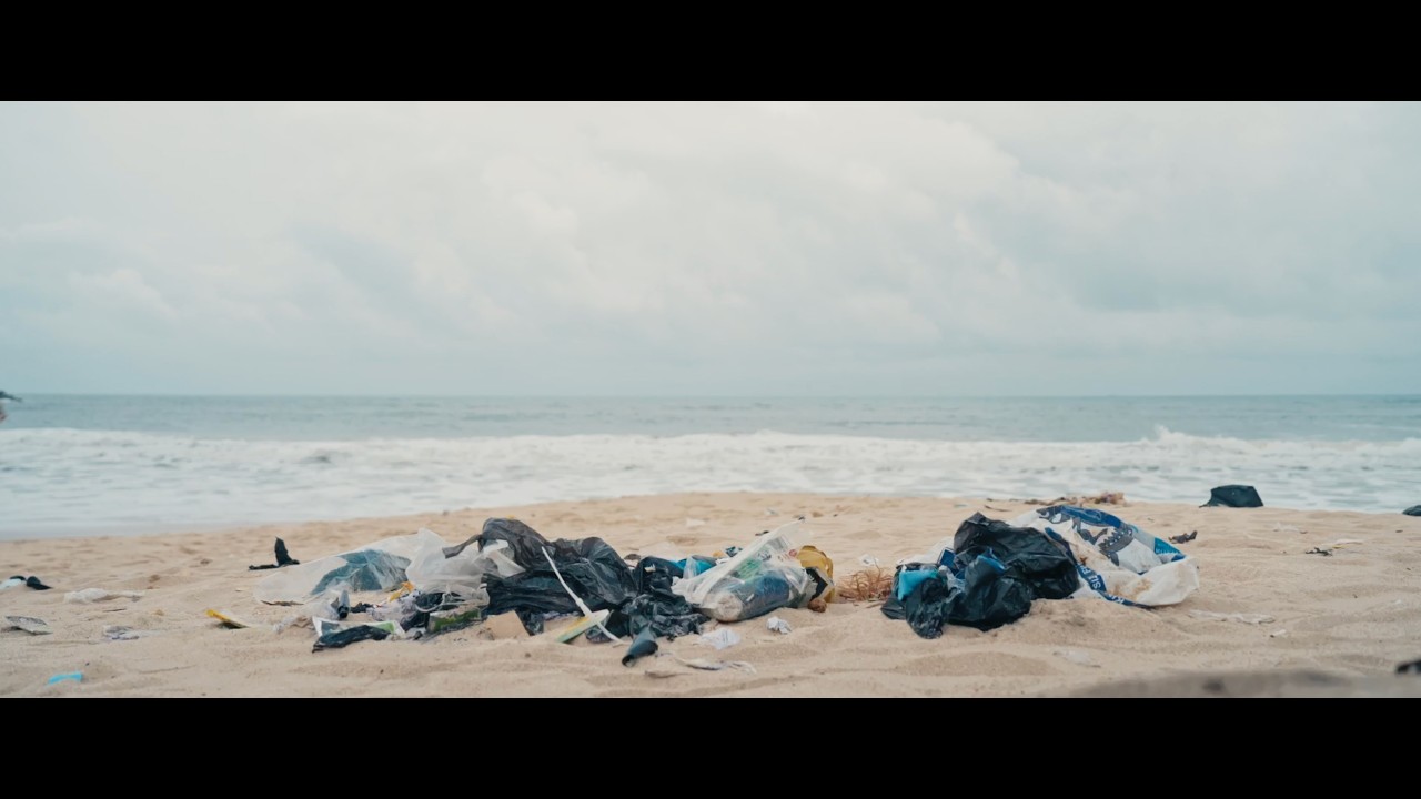 Revive the Ocean - YouTube