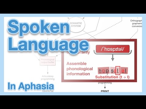 Aphasia & the PALPA Model: Explaining Breakdowns in Speech & Comprehension