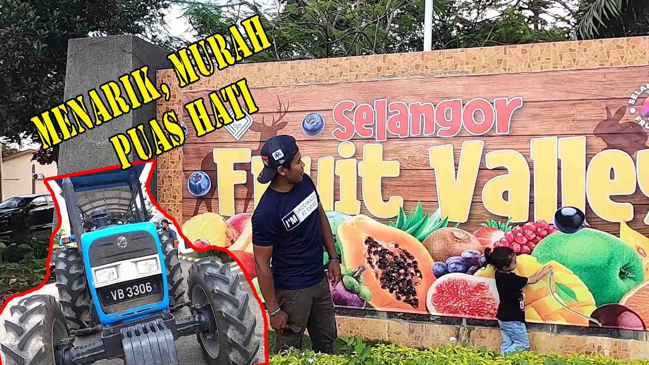 Fruit Valley Selangor - YouTube