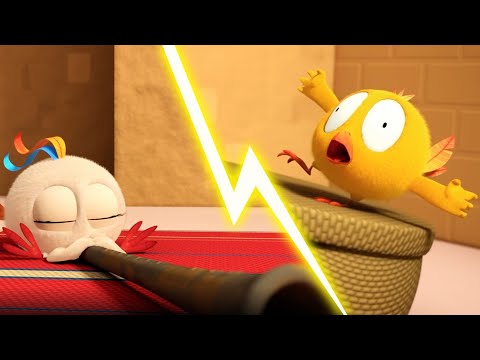 Where's Chicky? Funny Chicky | MAGIC MUSIC | Cartoon in English for Kids | New episodes