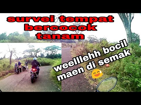 Bocil maen di semak semak || bercocok tanam kah ??