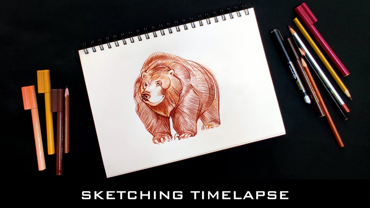 How to draw Bear || Bear drawing Time-lapse || Cool Colors - YouTube