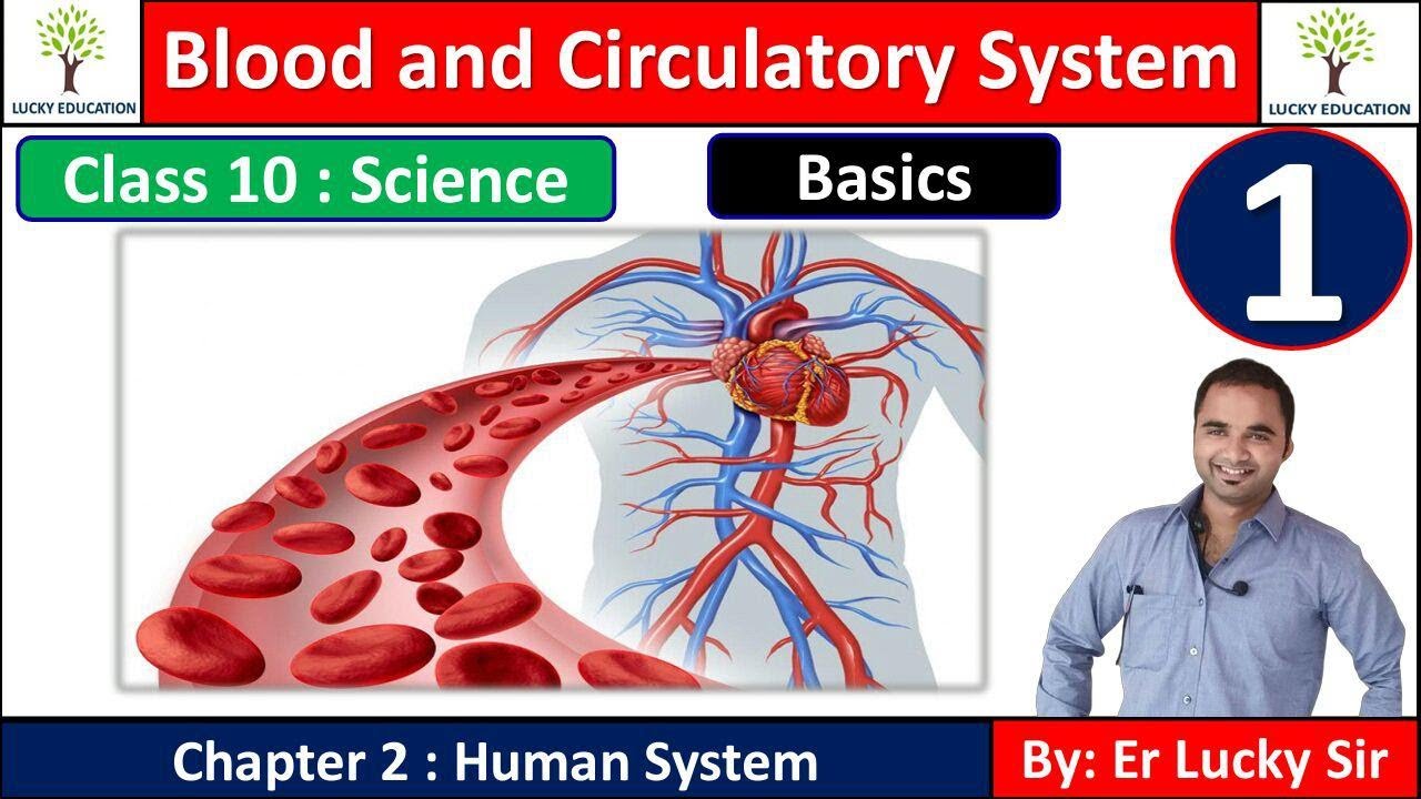 Circulatory System || Part 1 || Biology || Class 10 || RBSE || By Er ...