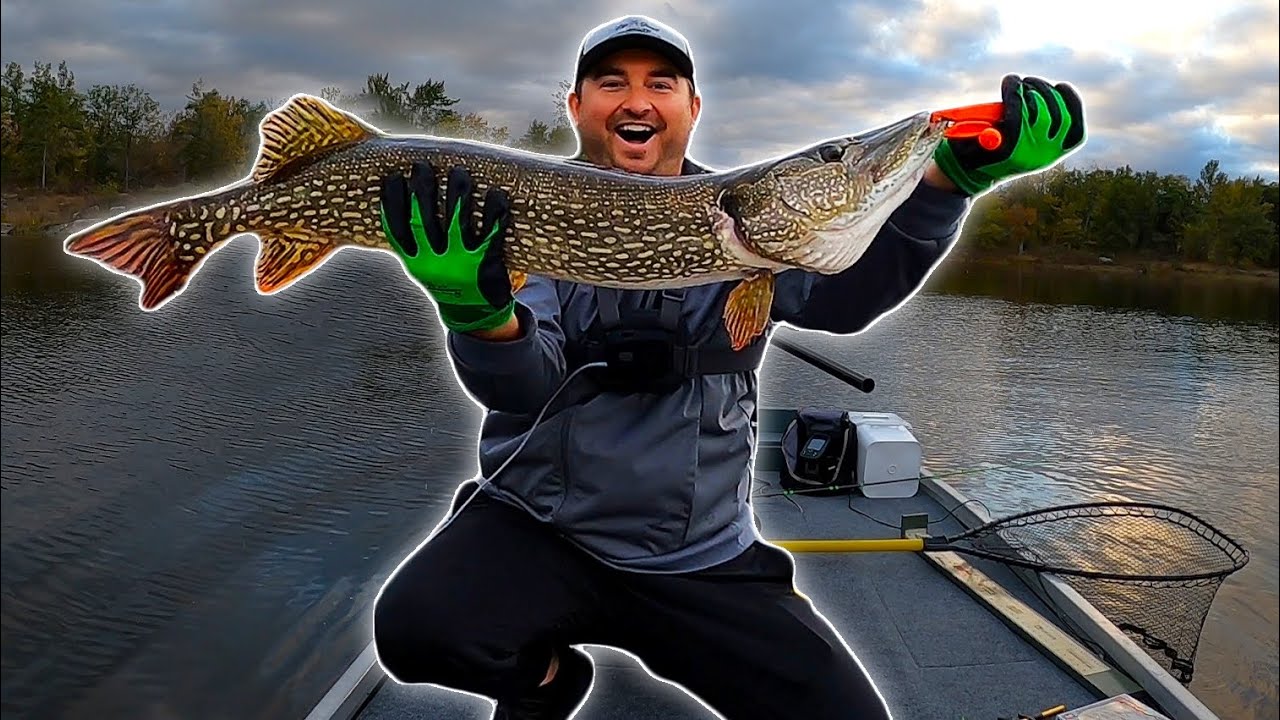 Quest for a 40 INCH Northern Pike - YouTube