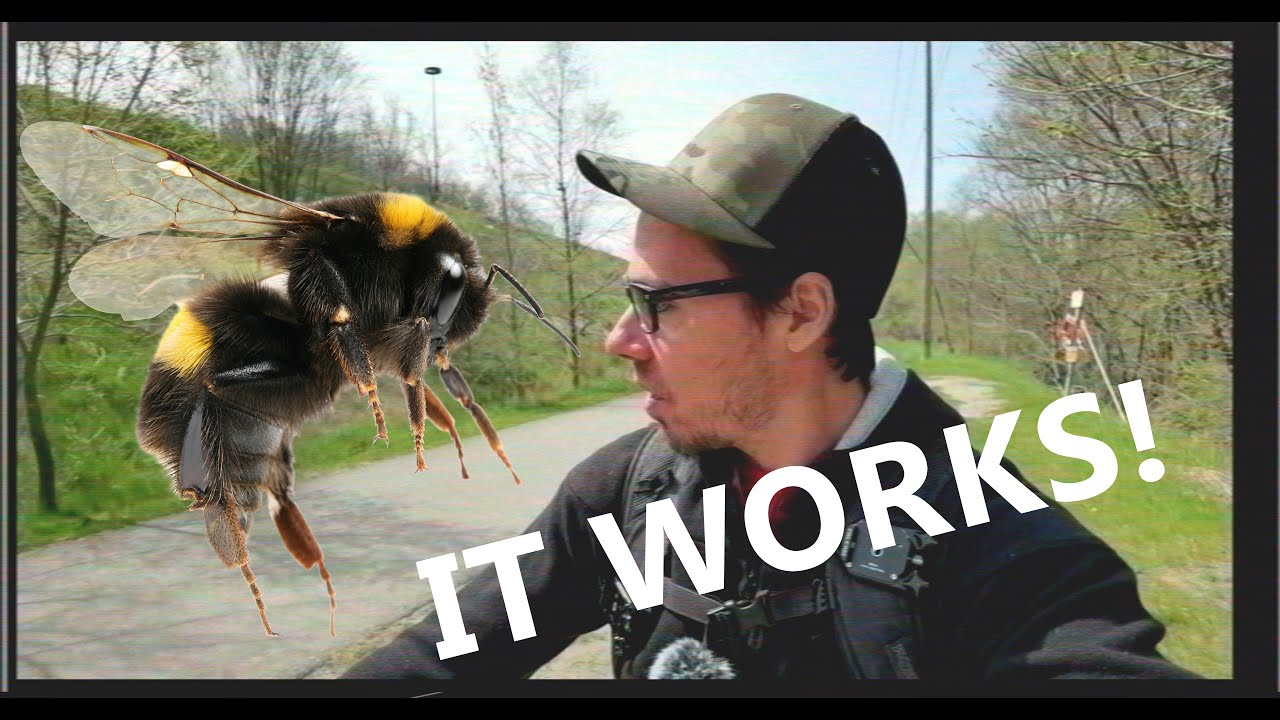 How To Use RAW HONEY For Seasonal Allergies - YouTube