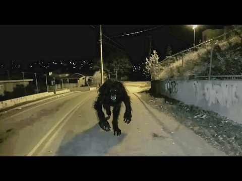 FINALLY!! The Michigan Dogman Has Been Caught On Camera Here's The CLEAREST NEW Proof!!
