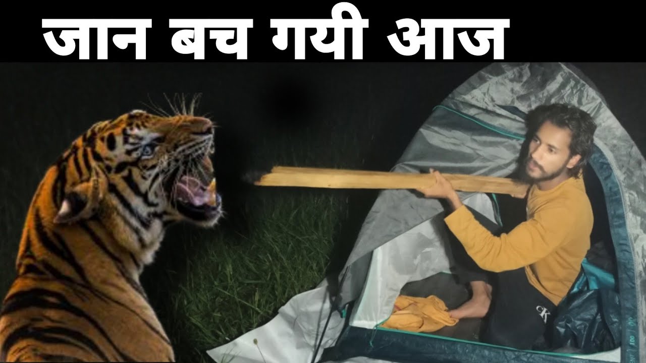 Night Camping In Forest || Pig Attack || सबसे खतरनाक जानवर होता है ये😭 ...