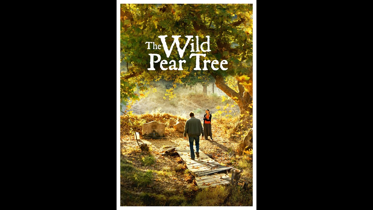 THE WILD PEAR TREE | Official Trailer | CineMember - YouTube