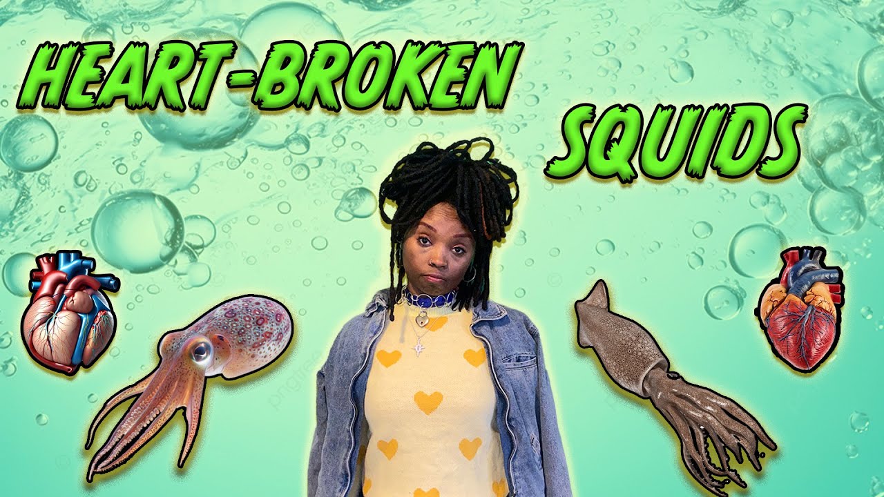 HEART-BROKEN SQUIDS! - YouTube