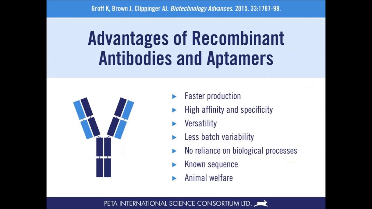Modern Affinity Reagents: Recombinant Antibodies and Aptamers - YouTube