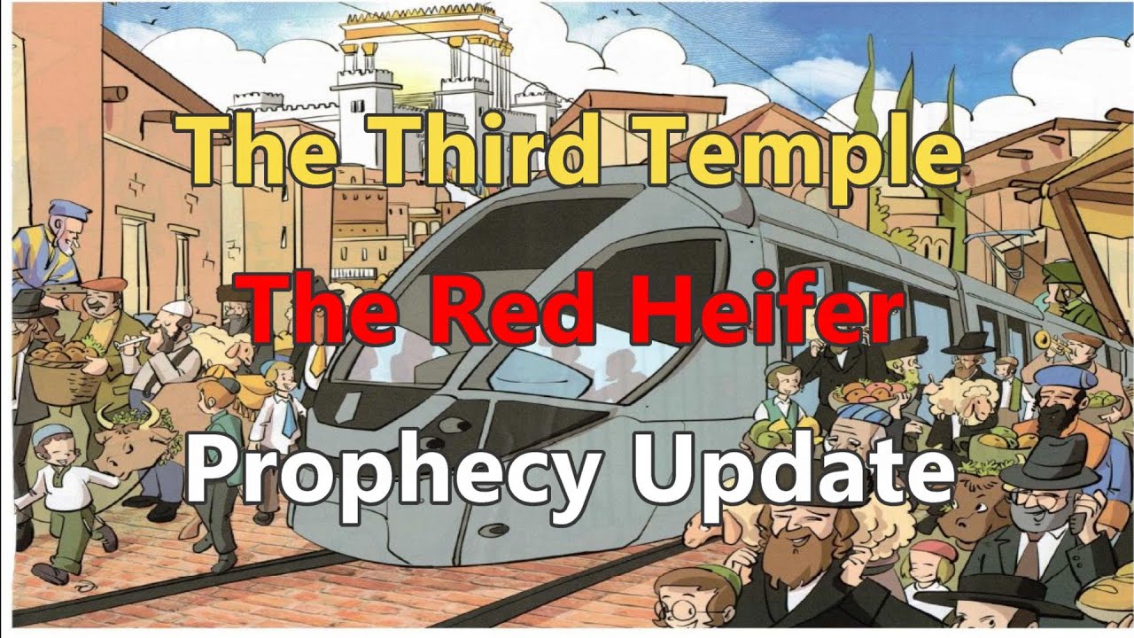 The Third Temple Coming Soon! (The Red Heifer & End Times Prophecy ...