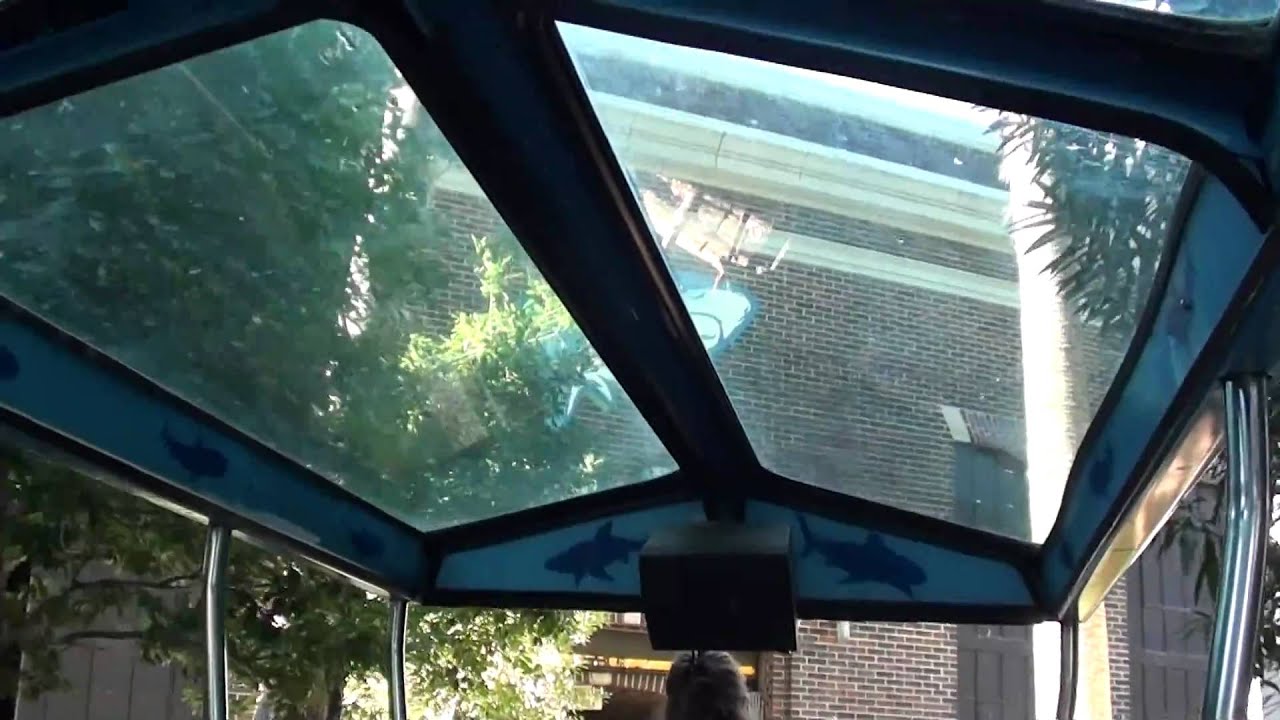 Riding the shark train at the Aquarium. (Part 1) - YouTube