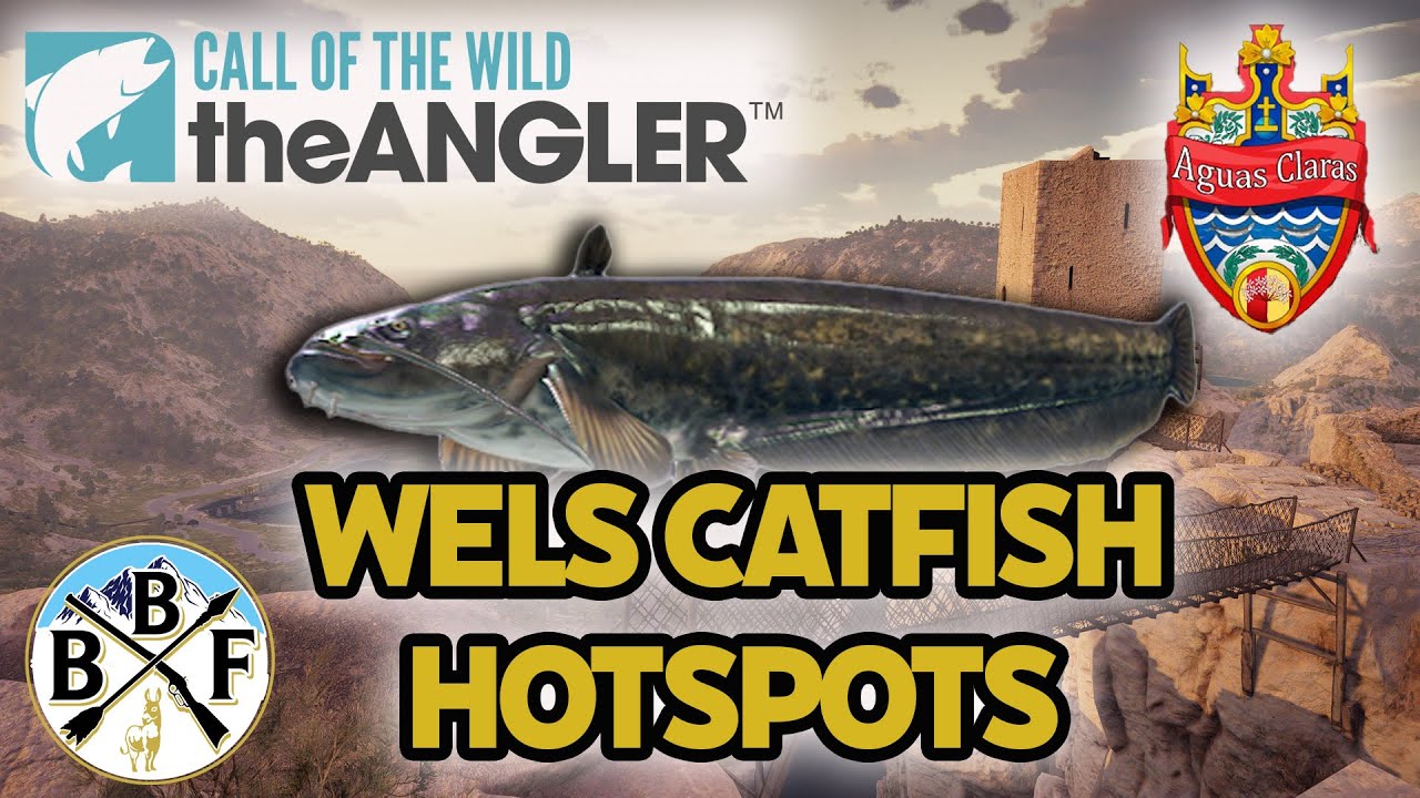 Hotspot Guide: Wels Catfish - Plus Hook Size, Bait & Lure! | Call of ...