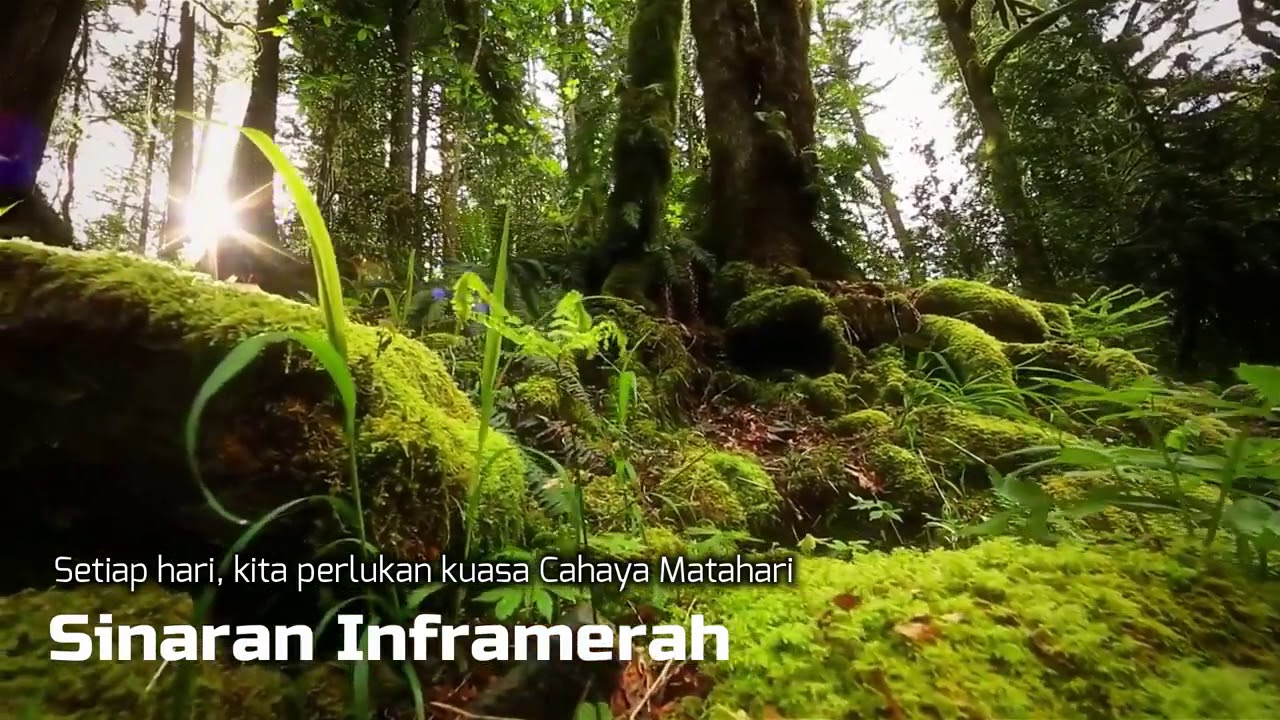 Sinaran Inframerah - YouTube