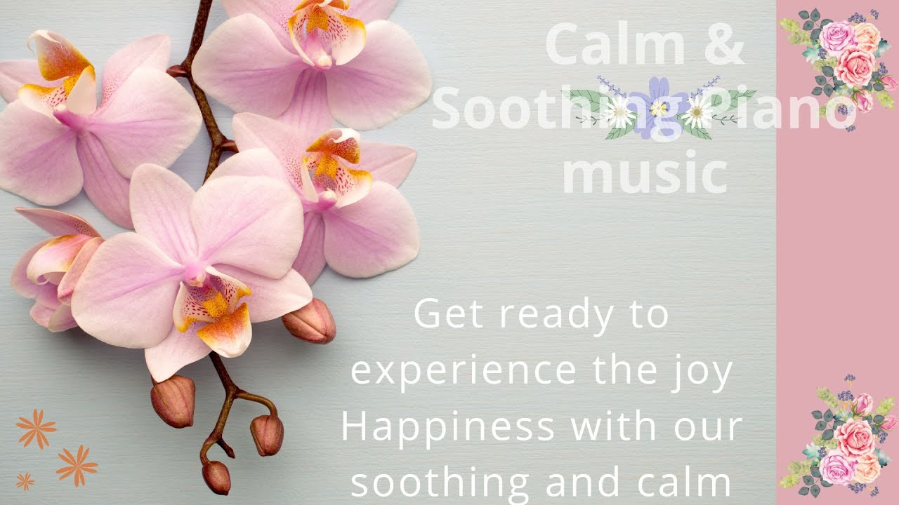 Relaxing Piano Music: Study Music, Sleep music, Meditation music ...