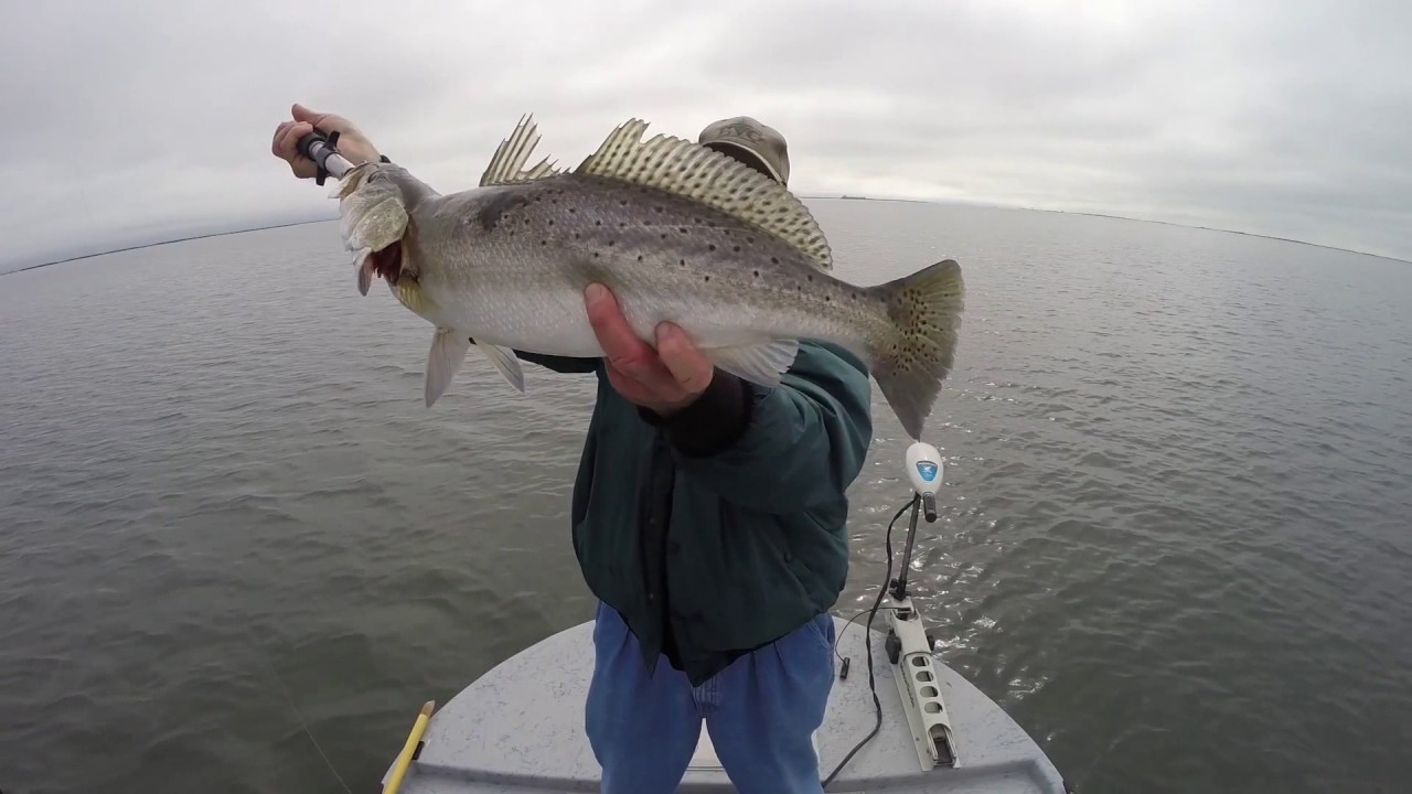 Big Speckled Trout and Redfish on a winters day - YouTube