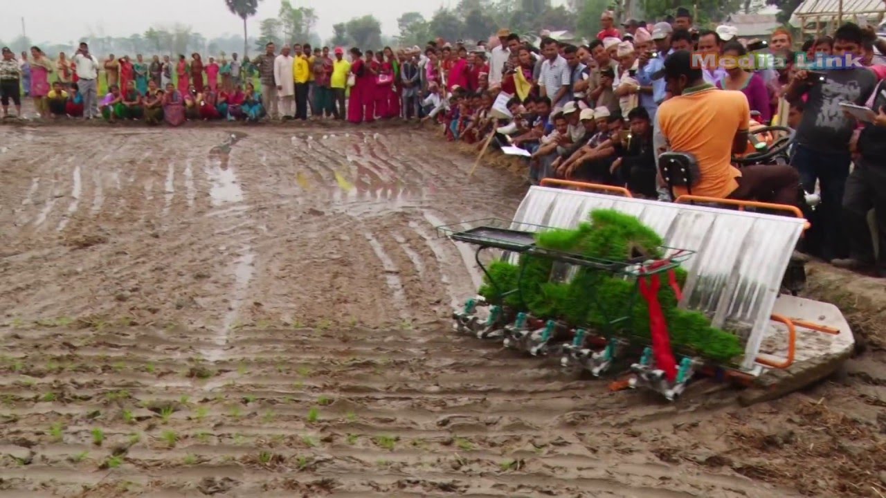 Dhan Ropne Machine (Rice Trans planter machine) - YouTube