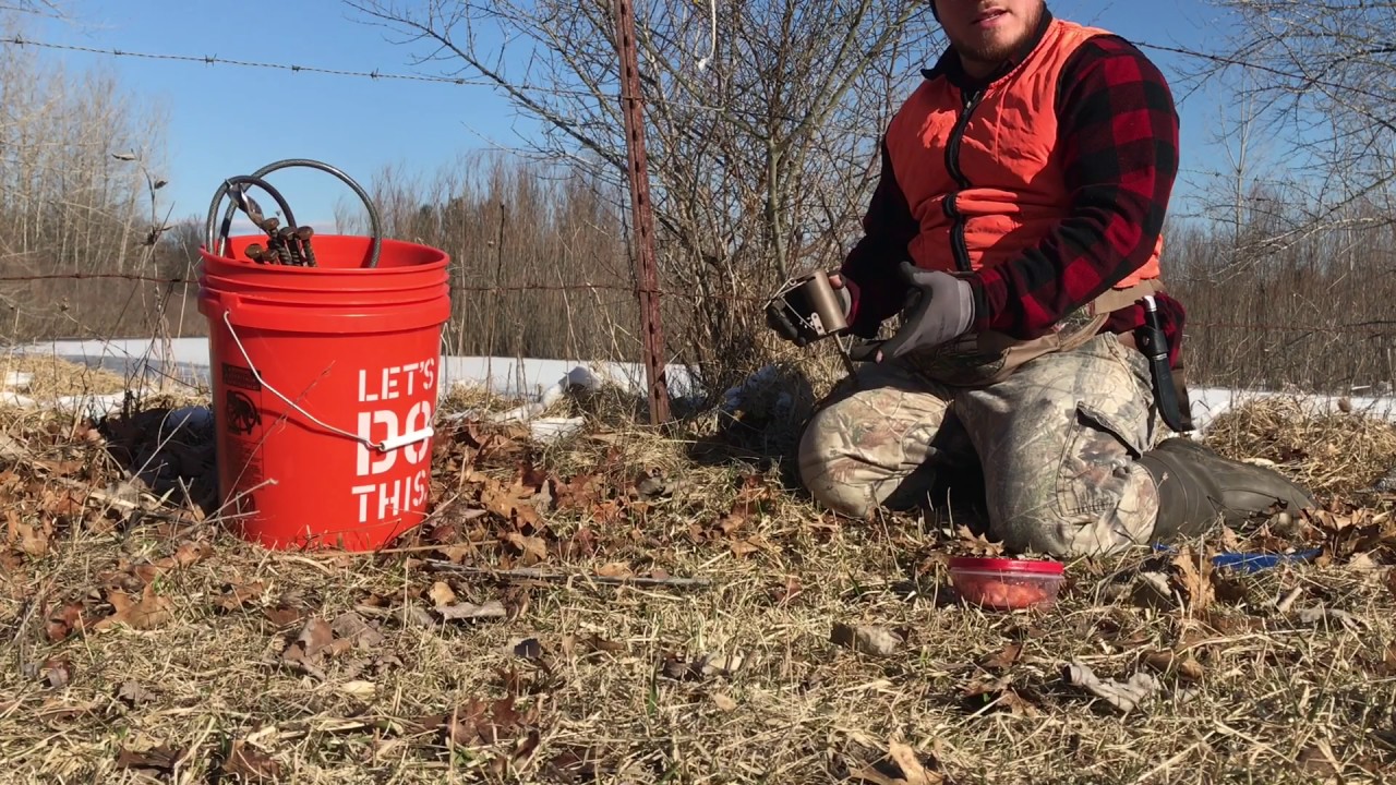Setting a new trap line. - YouTube