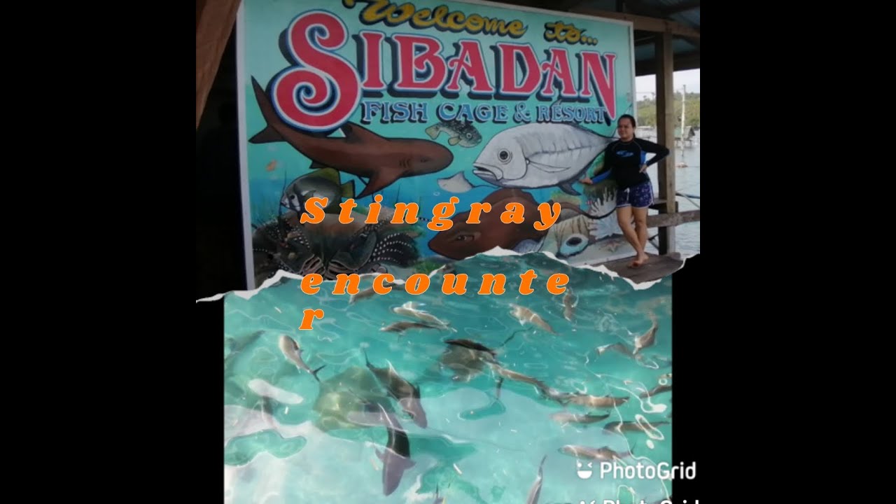 Sibadan Surigao del sur|bislig hinatuan ride2021|Last part - YouTube