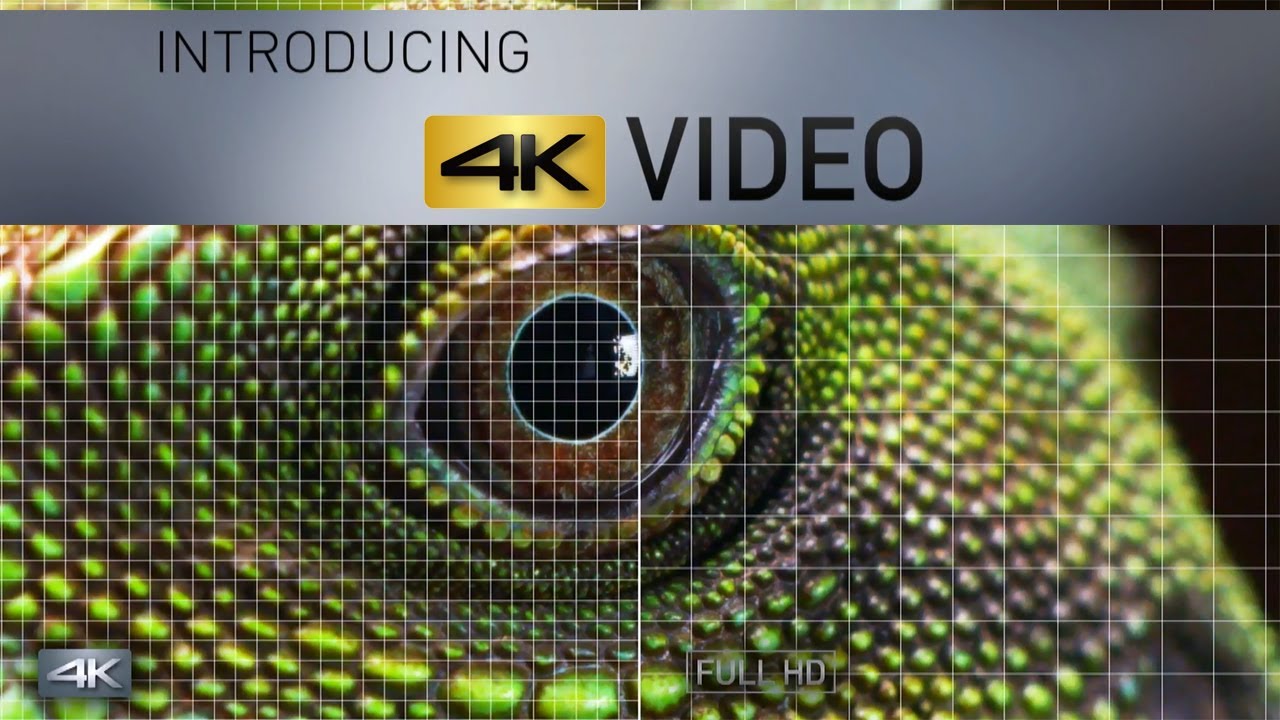 Introducing 4K Video Advantages - A Revolution in Videography - Part I ...