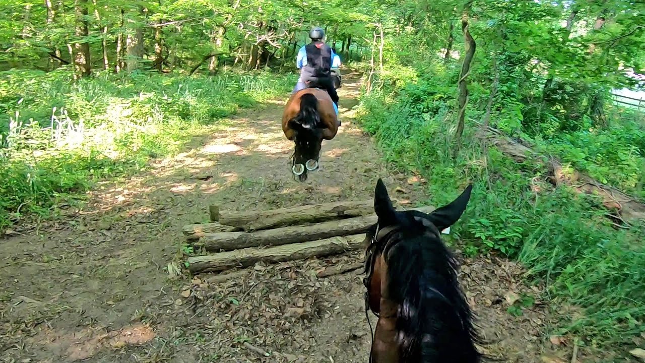 Beautiful RFHH Hunter Pace at Spring Hill - 4 miles, 30 jumps! - YouTube